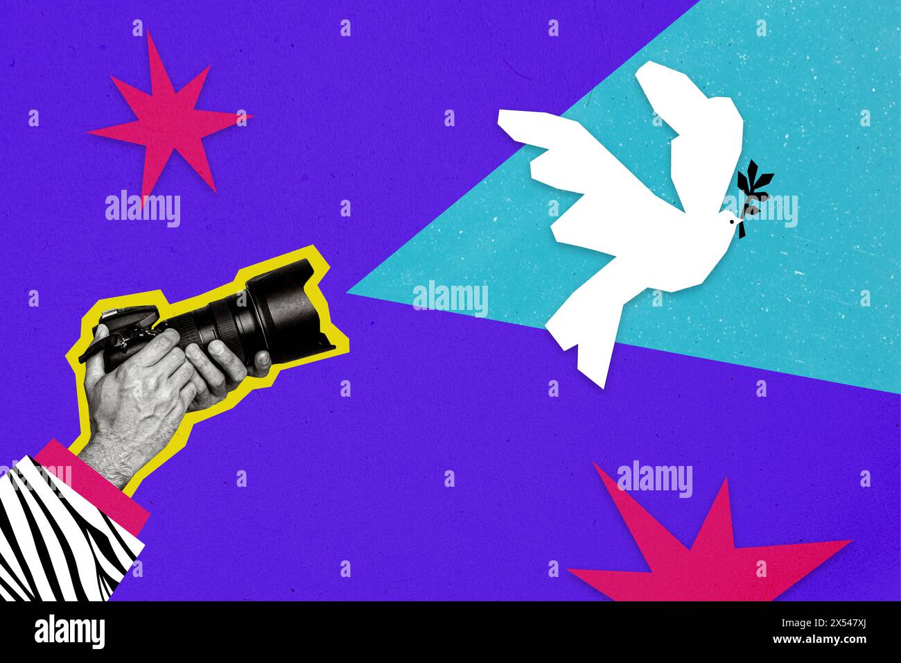 Composite photo collage of hands hold photo camera make photo shoot fly ...