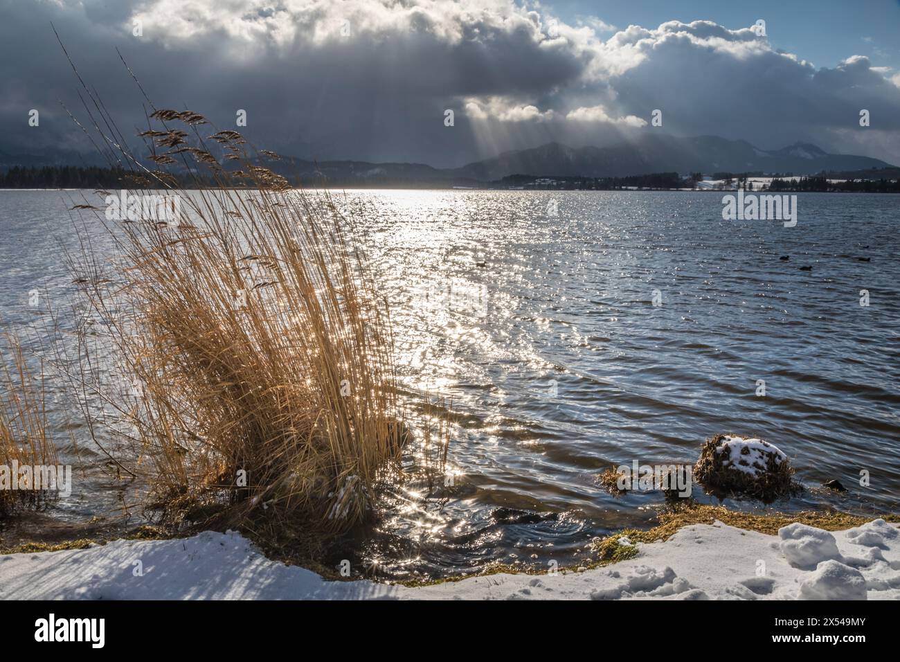 geography / travel, Germany, Bavaria, hopping at lake, Hopfensee (Lake ...