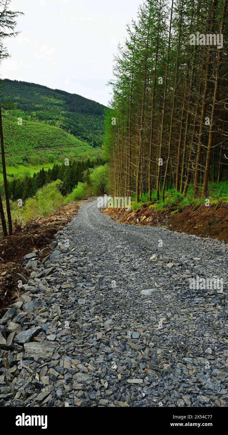 Forestry operations in Wales upgrade to forest road before timber ...