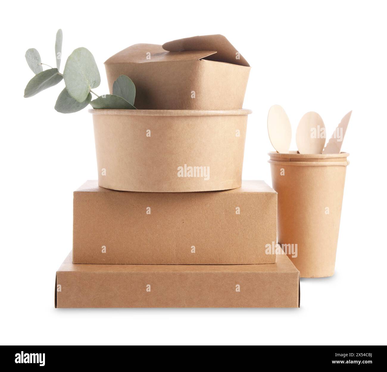 Eco friendly food packagings, wooden cutlery and eucalyptus leaves ...