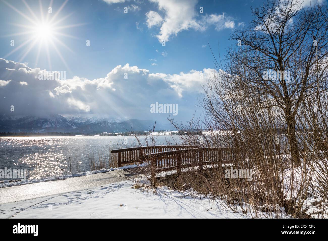 geography / travel, Germany, Bavaria, hopping at lake, Hopfensee (Lake ...