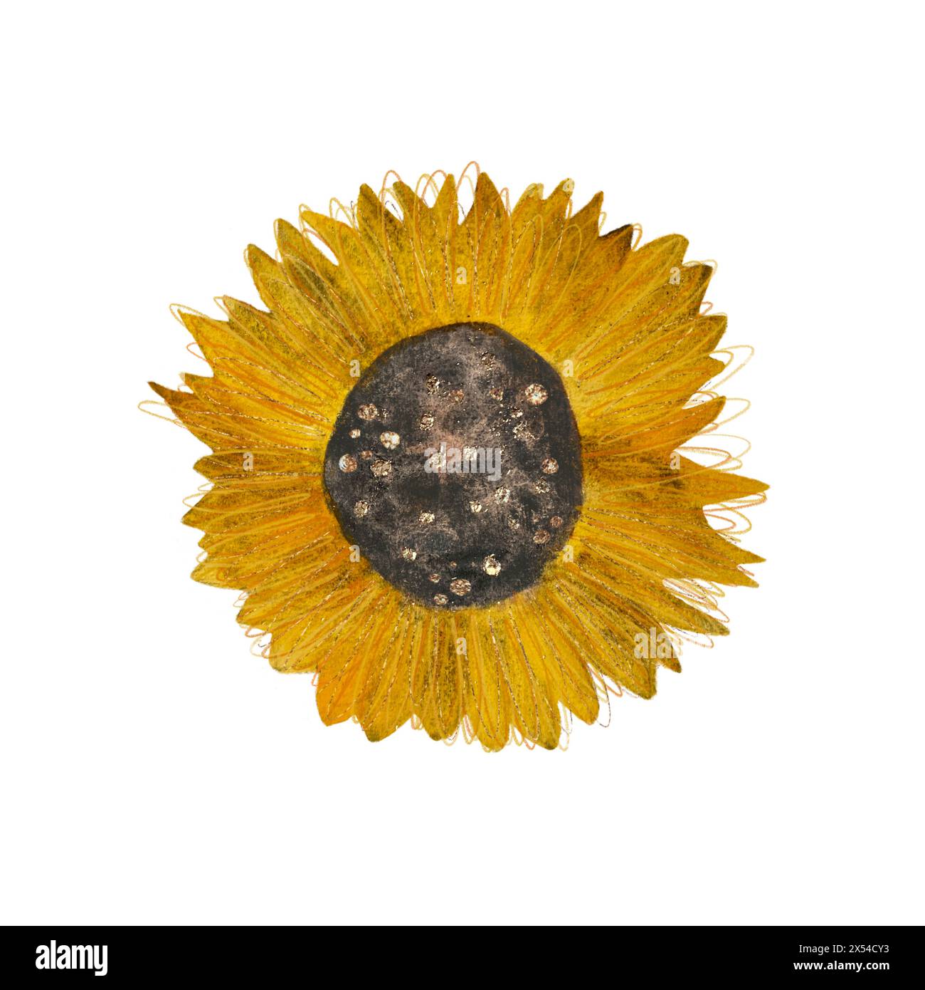 Decorative yellow sunflower, watercolor isolated object on white ...
