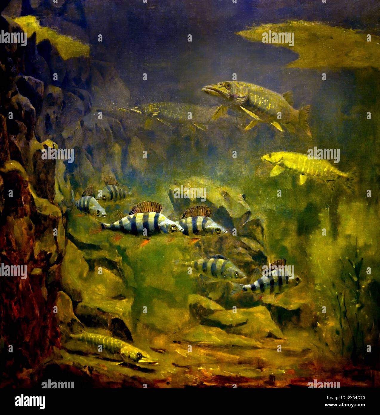 Pike and Perch in an Aquarium by Gerrit Willem Dijsselhof 1866-1924 ...