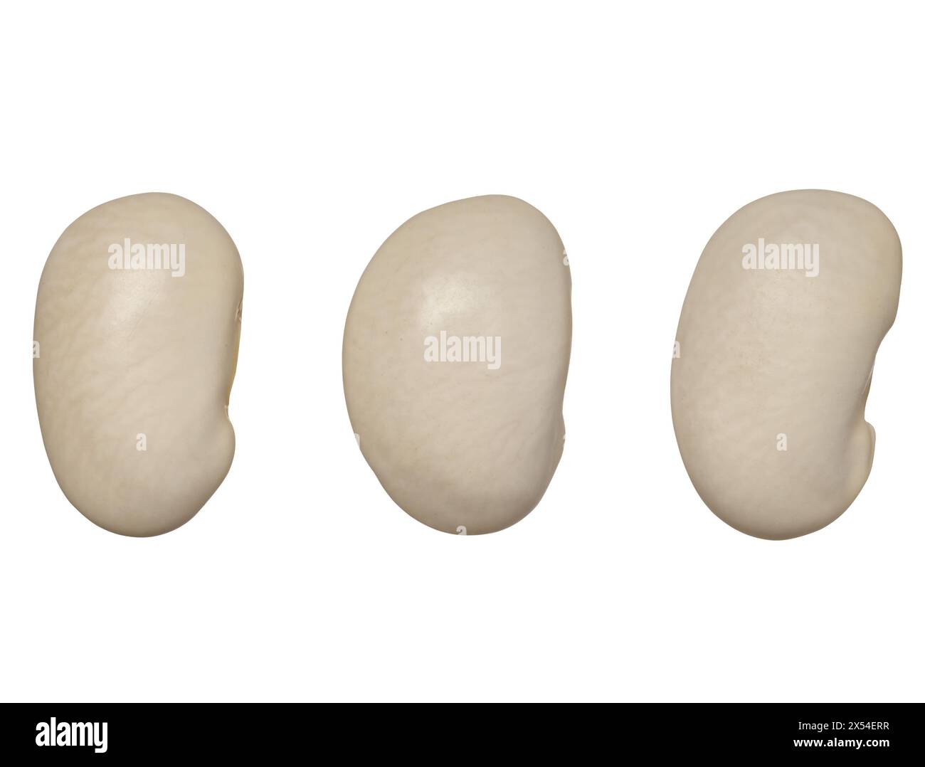 Raw white beans on isolated background, top view Stock Photo - Alamy