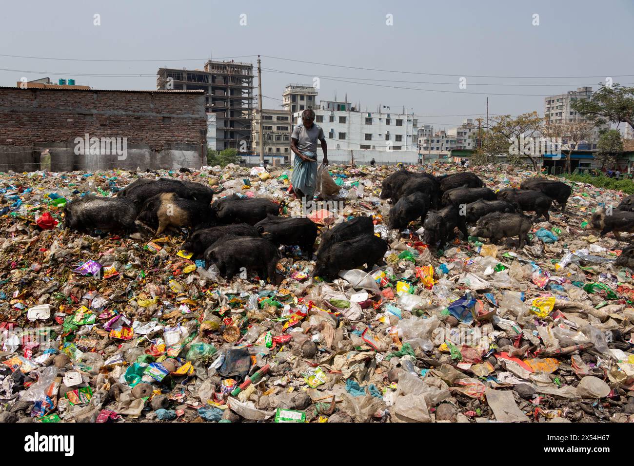 Contaminated food chain hi-res stock photography and images - Alamy