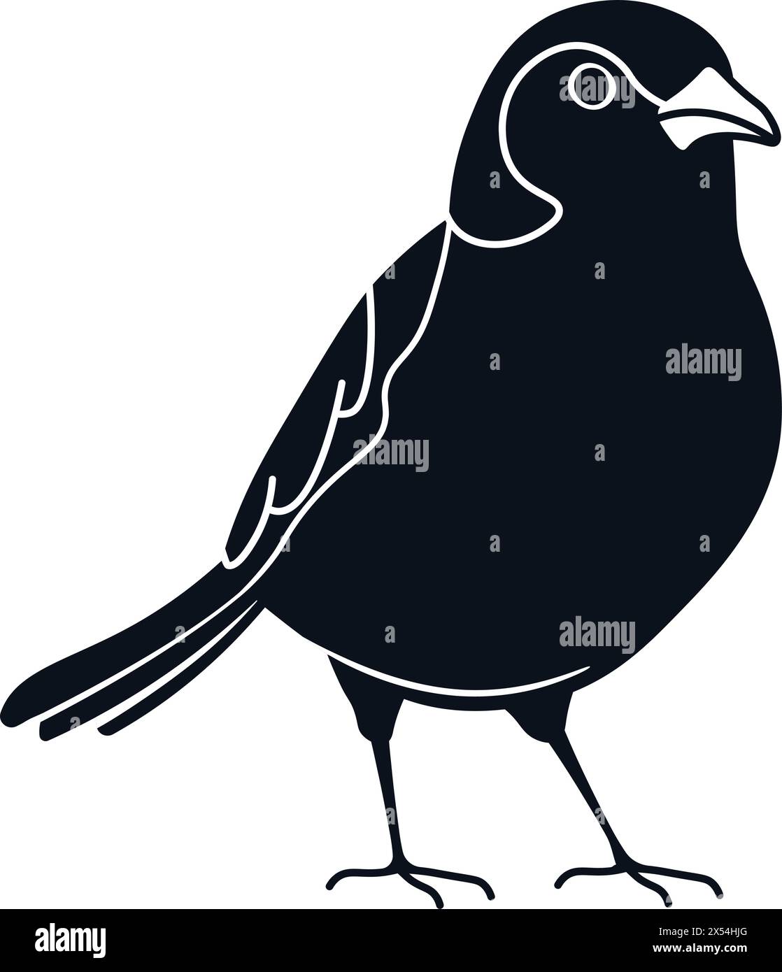 Sleek bird design hi-res stock photography and images - Alamy