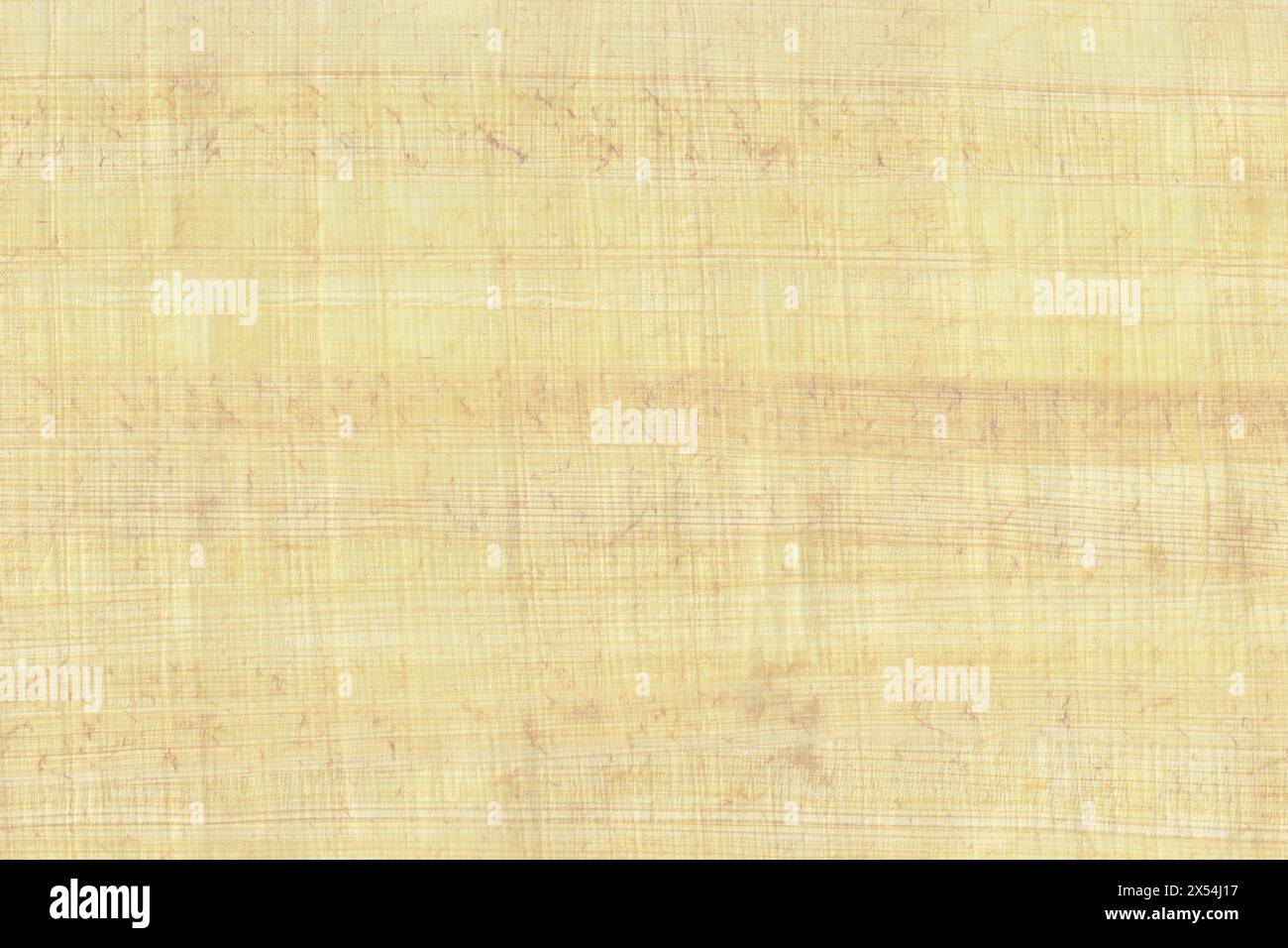 Papyrus paper rough texture fiber hi-res stock photography and images ...