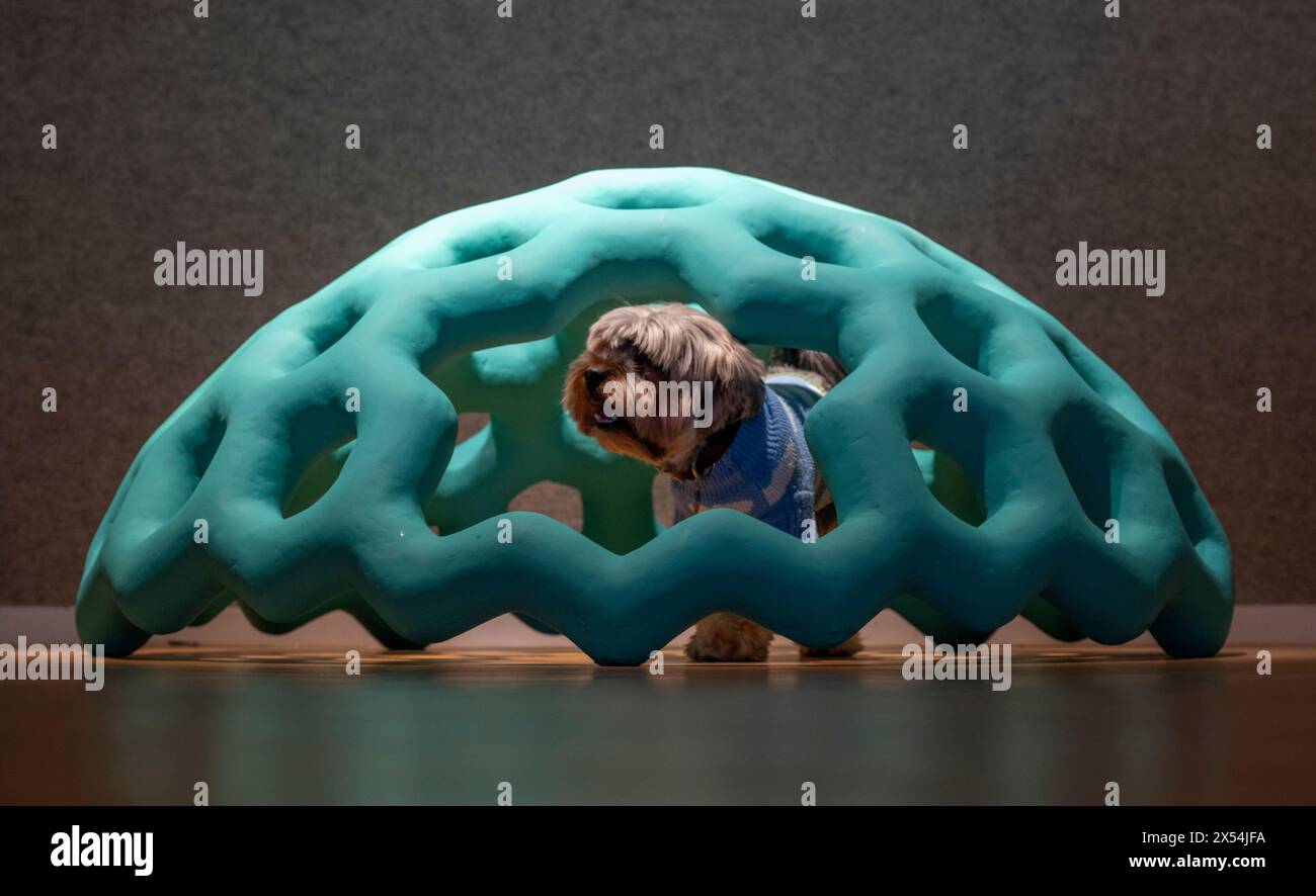 Bonham's, London, UK. 7th May, 2024. Highlights from Goodwoof's ...