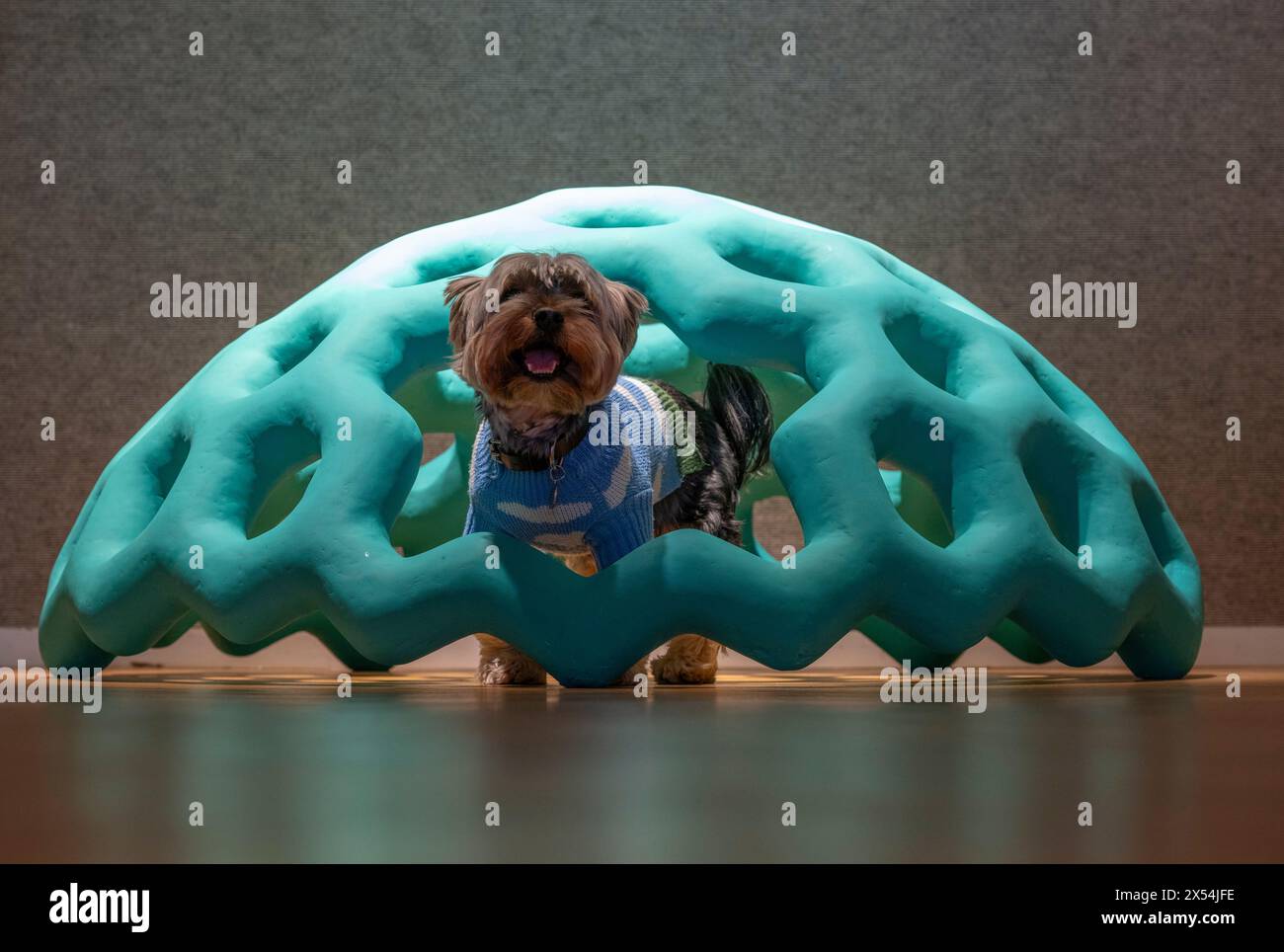 Bonham's, London, UK. 7th May, 2024. Highlights from Goodwoof's ...