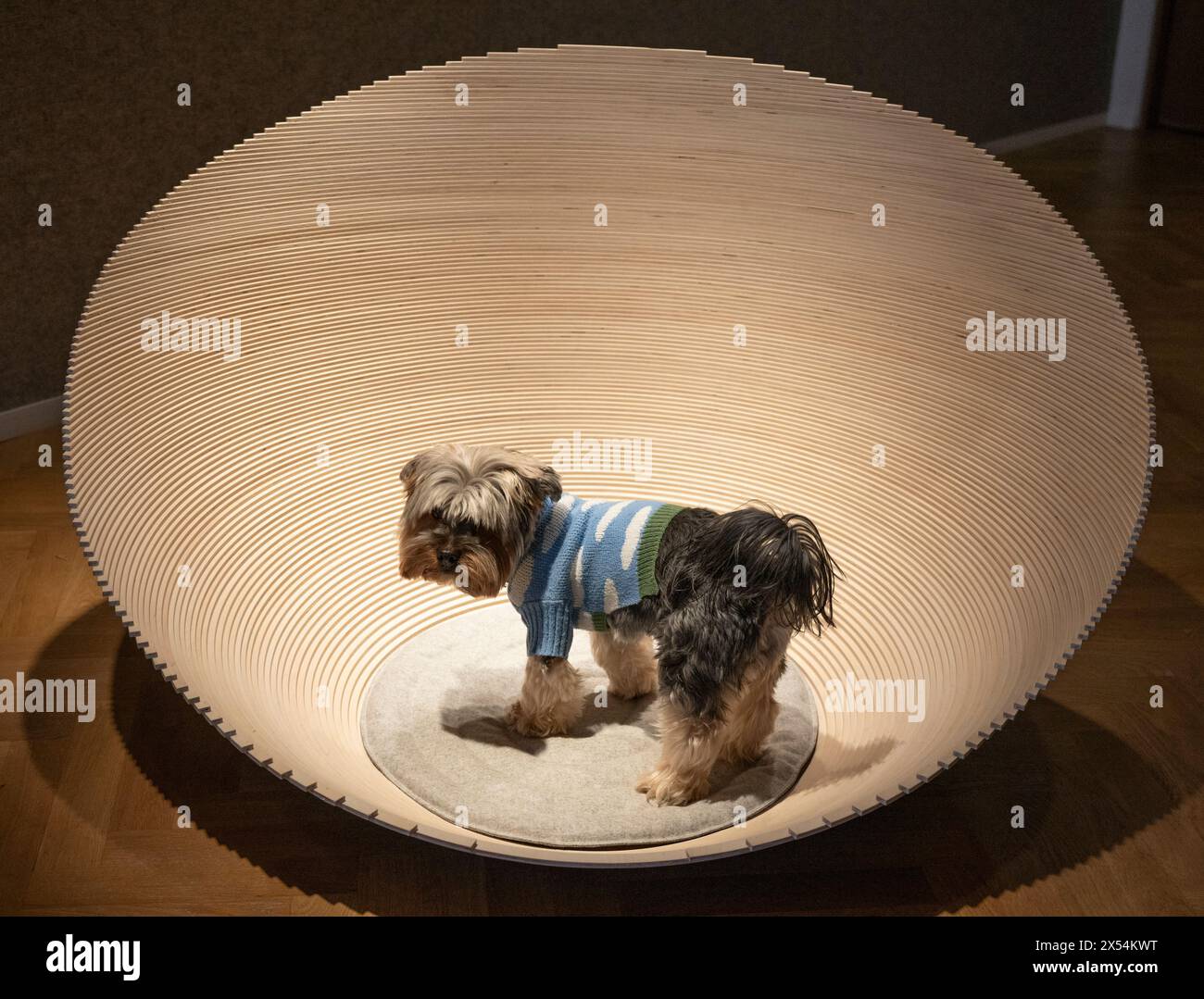 Bonham's, London, UK. 7th May, 2024. Highlights from Goodwoof's ...