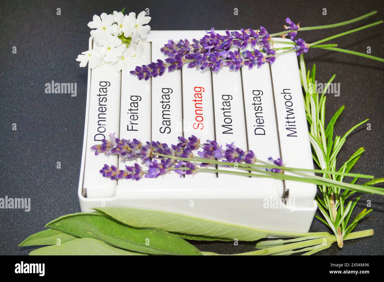 English lavender (Lavandula angustifolia, Lavandula officinalis ...