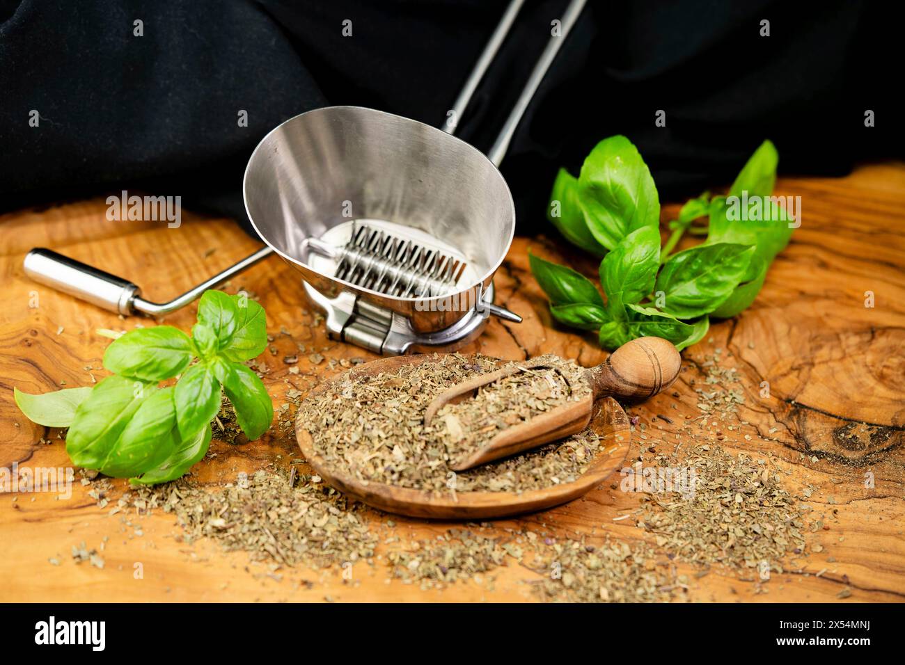 sweet basil (Ocimum basilicum), Basil leaves, fresh and dried on a ...