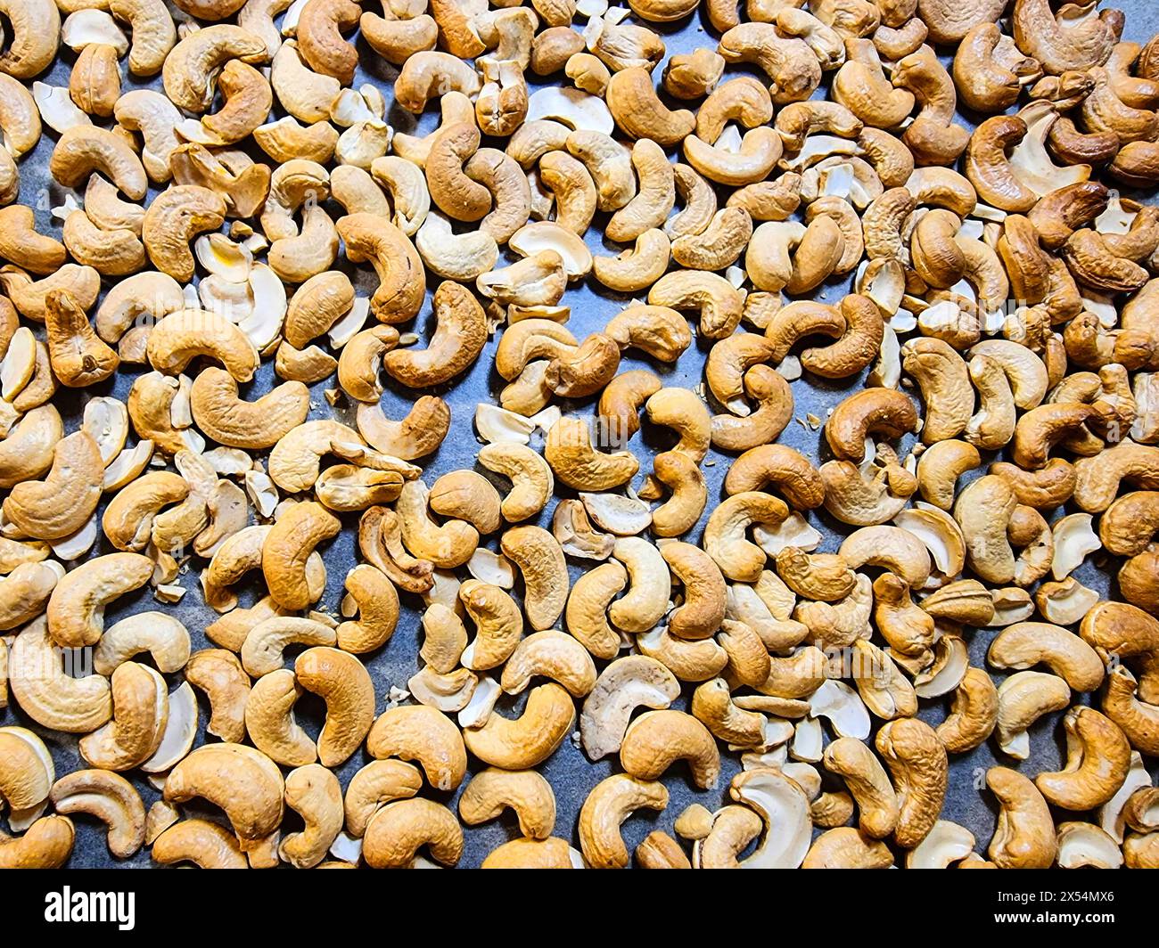cashew nut (Anacardium occidentale), roasted cashews Stock Photo - Alamy