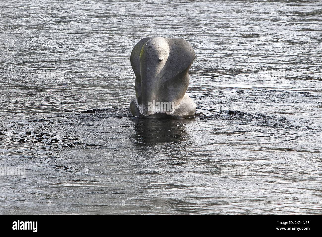 Sculpture in the shape of an elephant in the Wupper, reminiscent of the ...