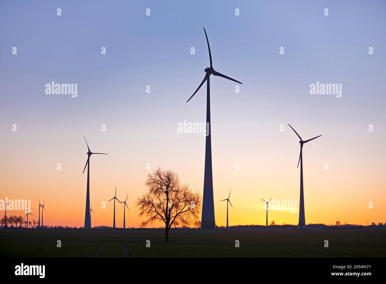 Wind turbines at dawn, Wevelsburg wind farm, Germany, North Rhine ...