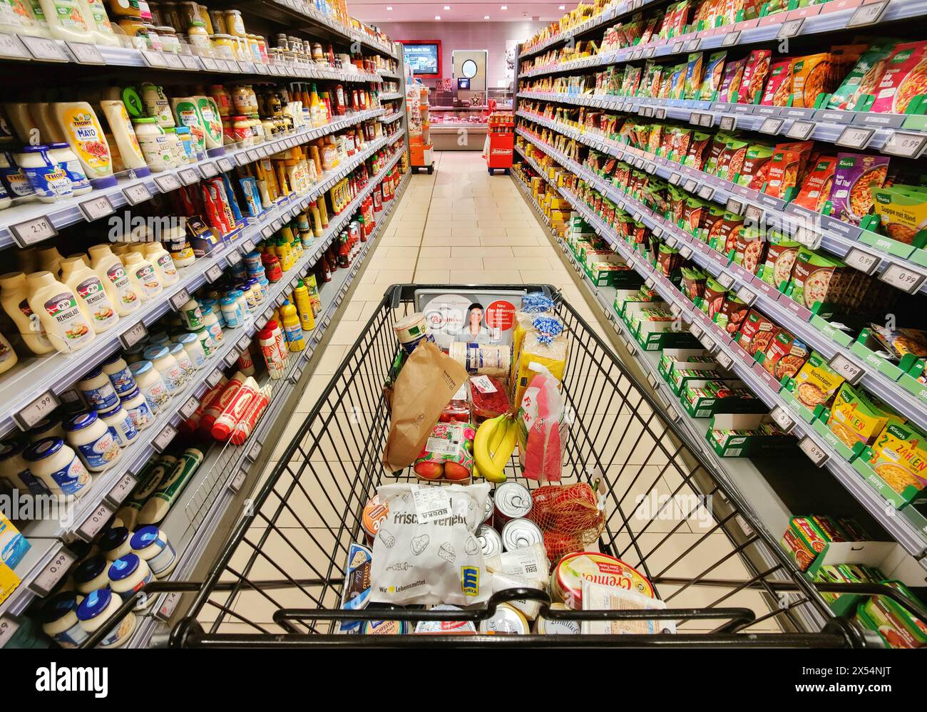 Shopping cart being pushed, supermarket, Germany Stock Photo - Alamy