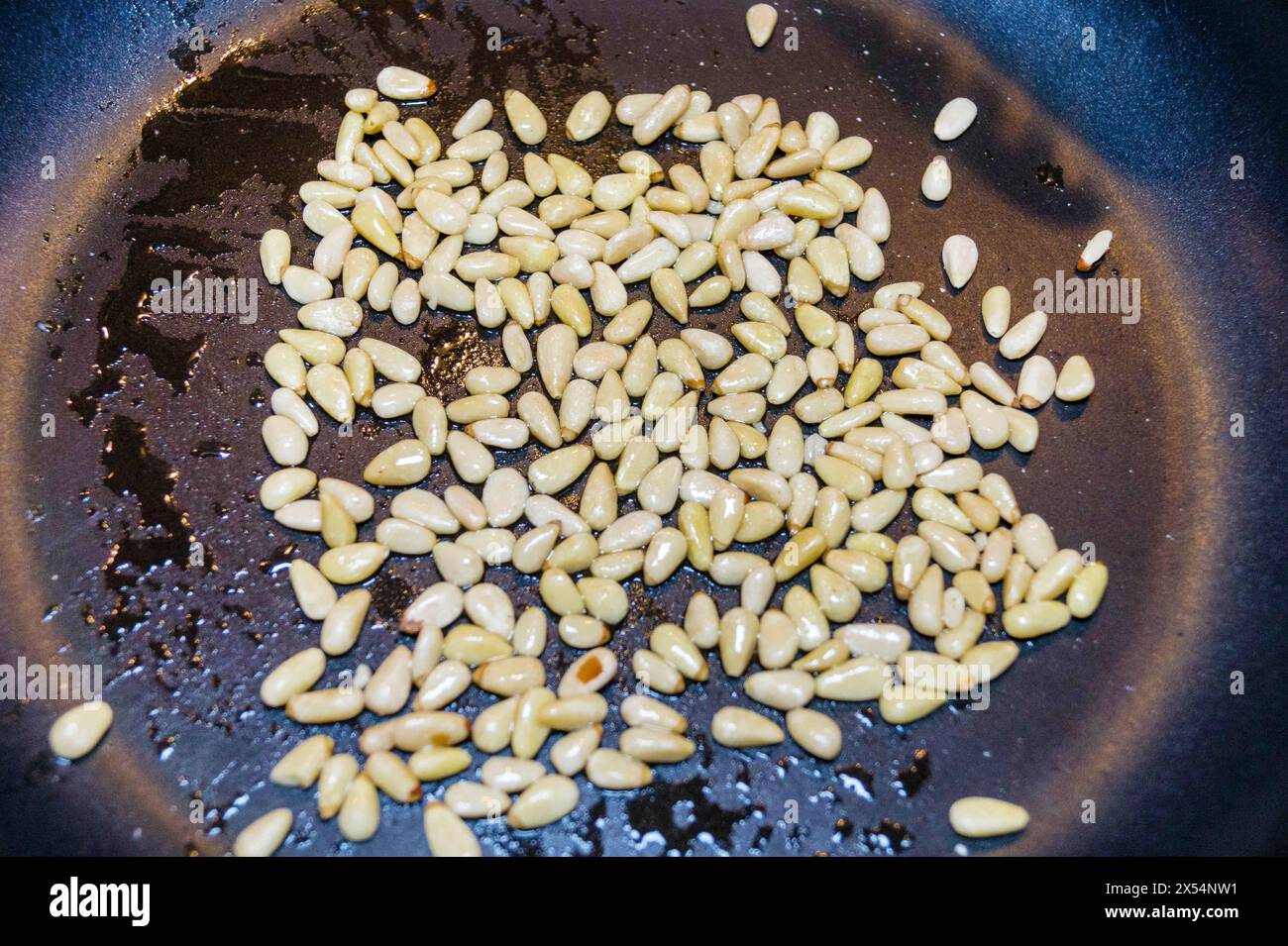 Stone pine, Italian Stone pine, Umbrella Pine (Pinus pinea), Pine nuts ...