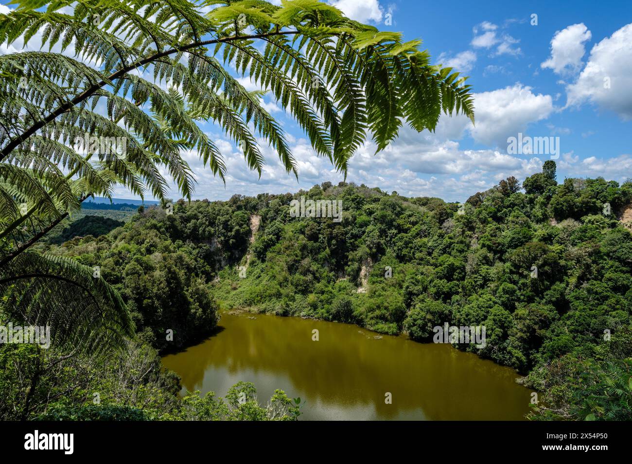 Southern Crater Lake, Waimangu Volcanic Valley, Bay of Plenty, North ...