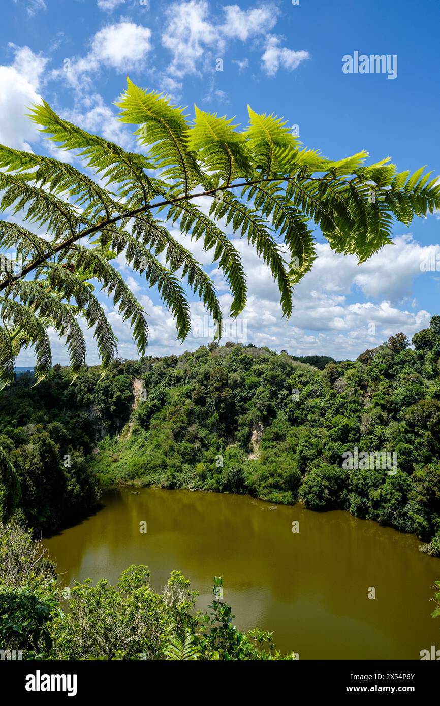 Southern Crater Lake, Waimangu Volcanic Valley, Bay of Plenty, North ...