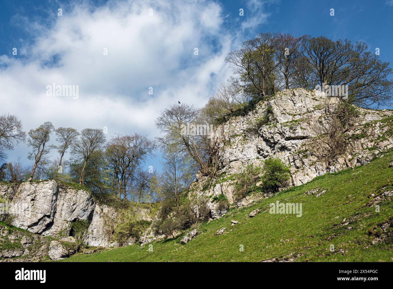 Limestone cliffs in Wolfscote Dale, Peak District National Park ...