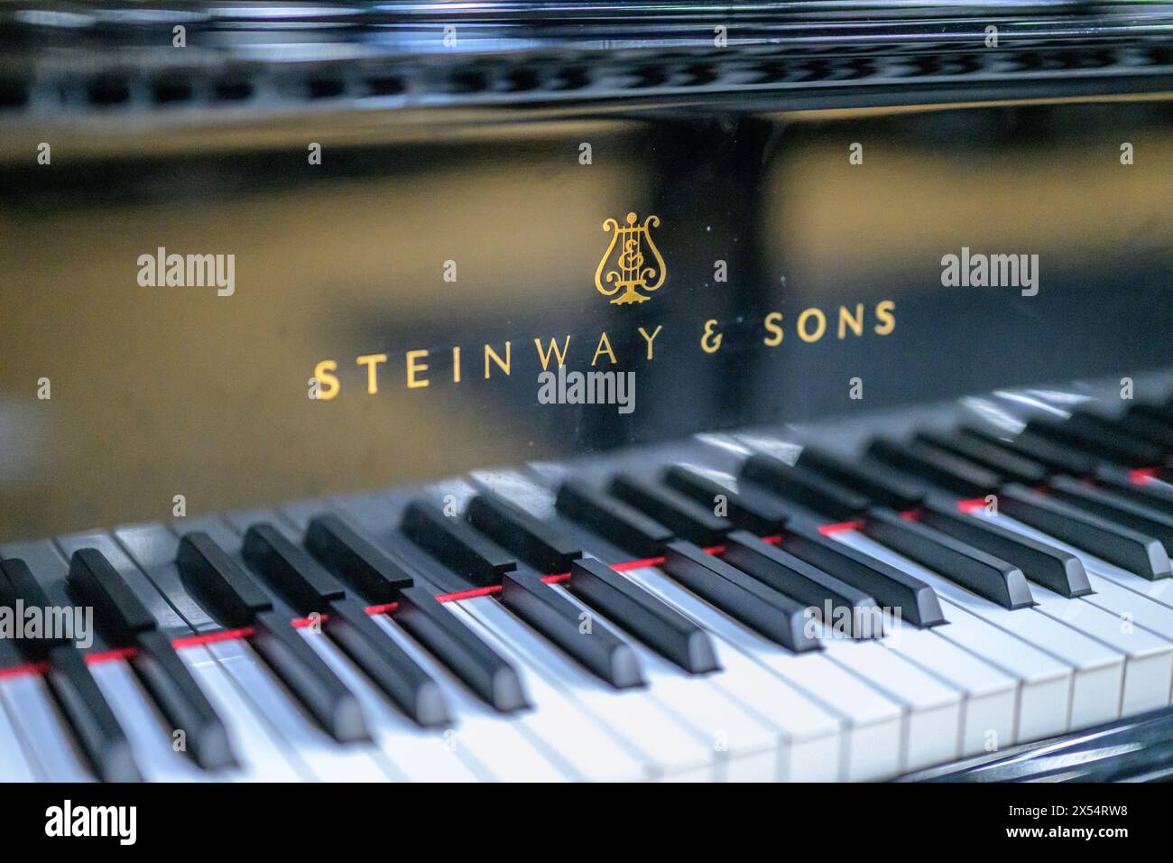 Black and white keys of a Steinway & Sons piano in sharp focus Stock ...