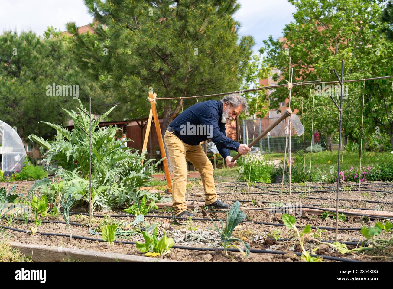 Community wellness man hi-res stock photography and images - Alamy