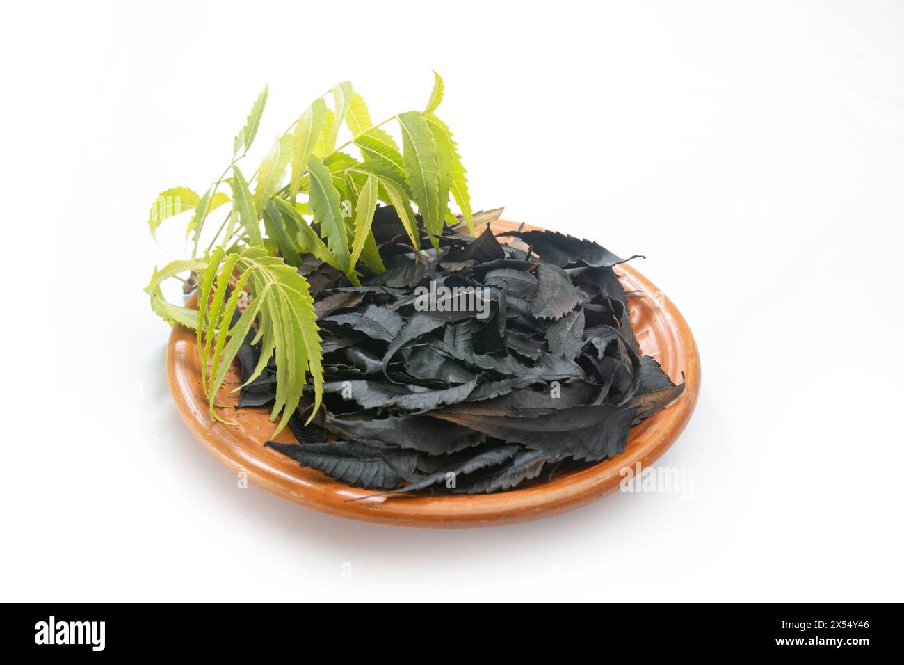 preparing Neem Majon, black tooth powder with Neem leaves, Neem stick ...