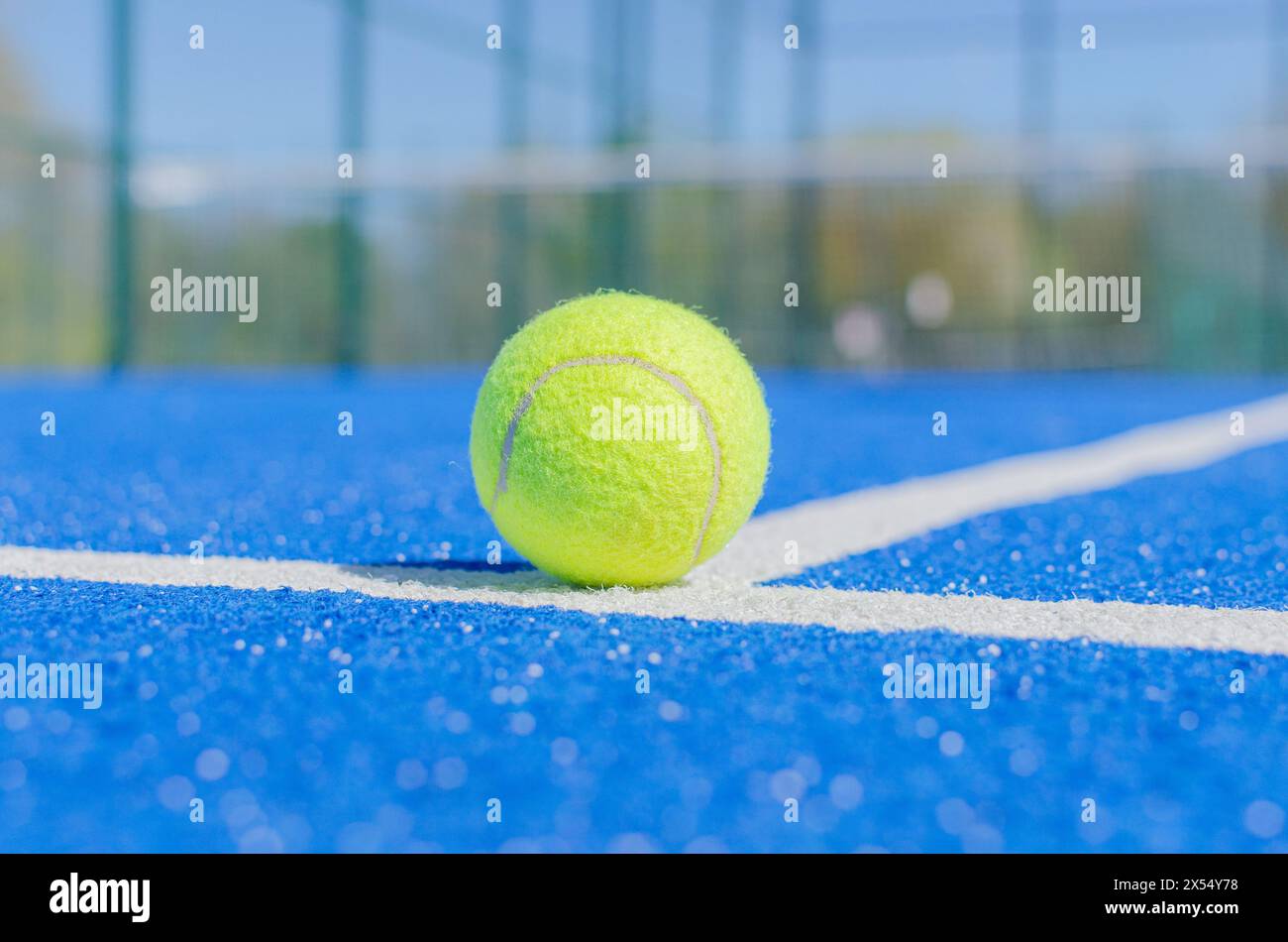 Padel ball on blue padel court Stock Photo - Alamy
