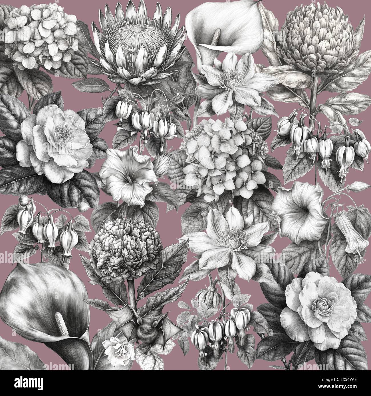 Brotea blossom hi-res stock photography and images - Alamy