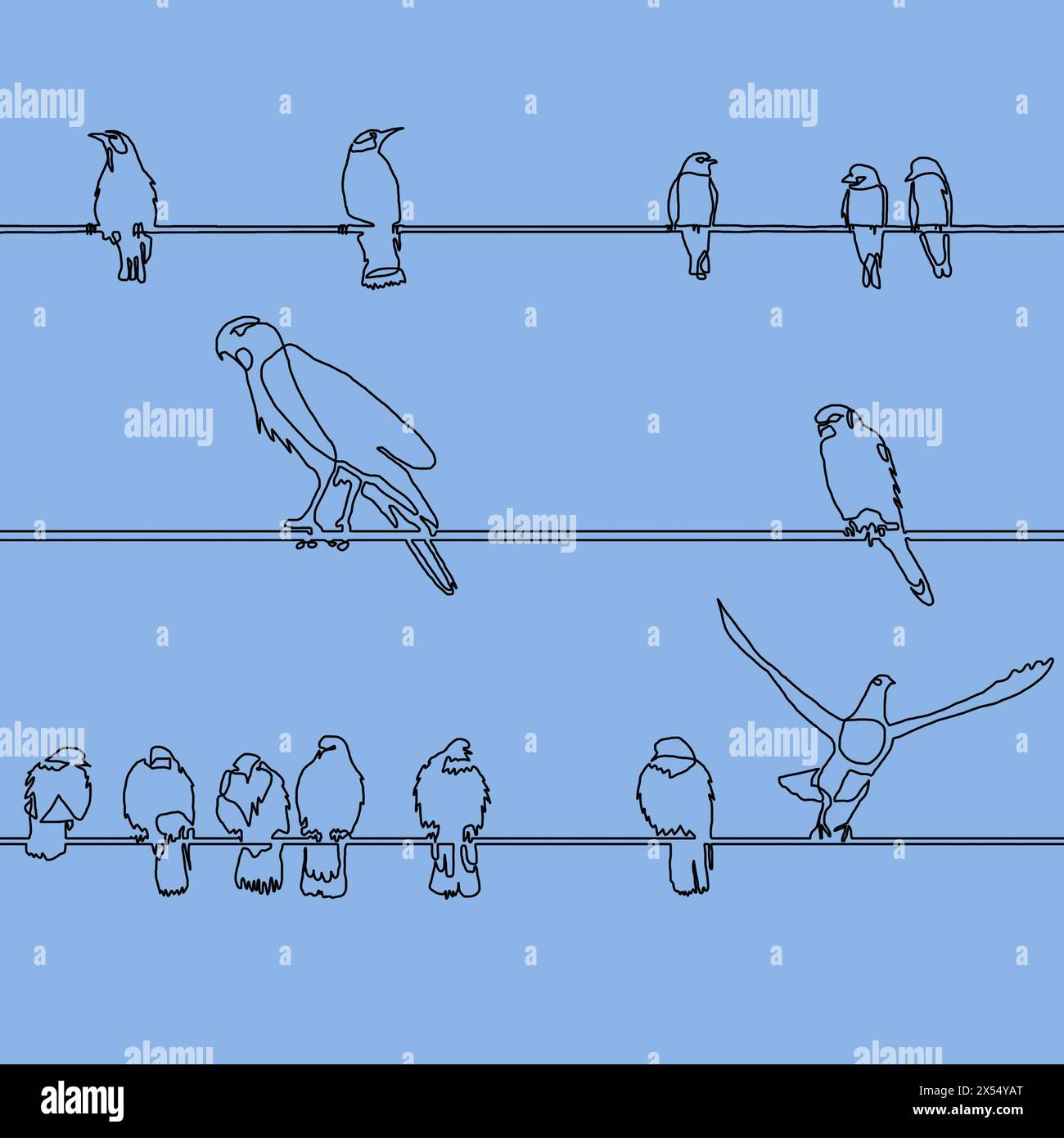 Elegant Minimalism: Continuous Line Birds Stock Photo - Alamy