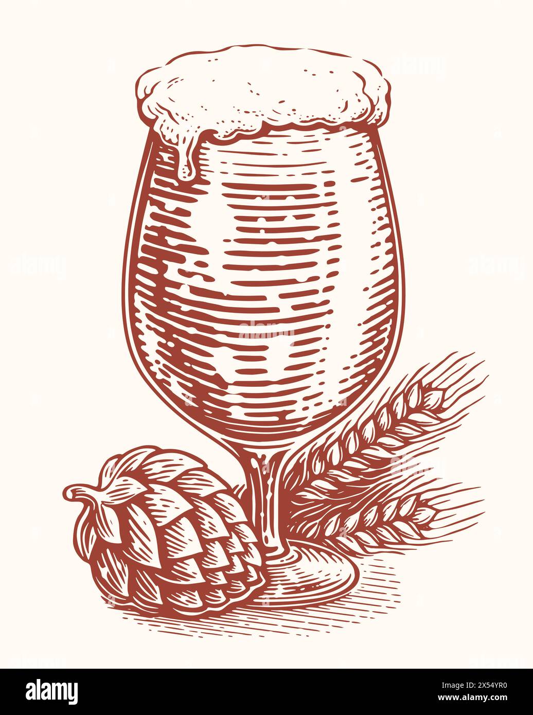 Hops hand drawn hi-res stock photography and images - Alamy