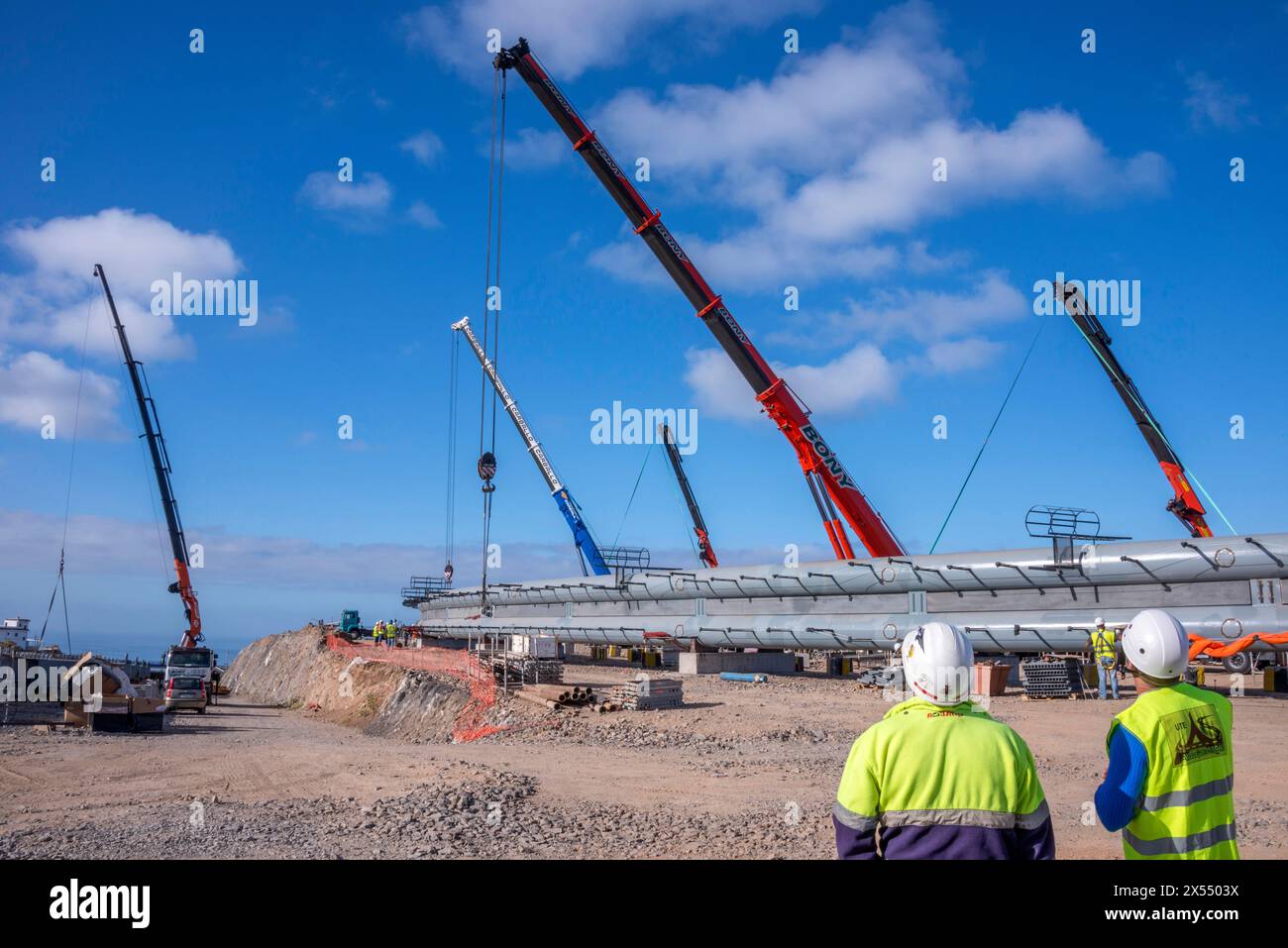 Group of cranes hi-res stock photography and images - Alamy