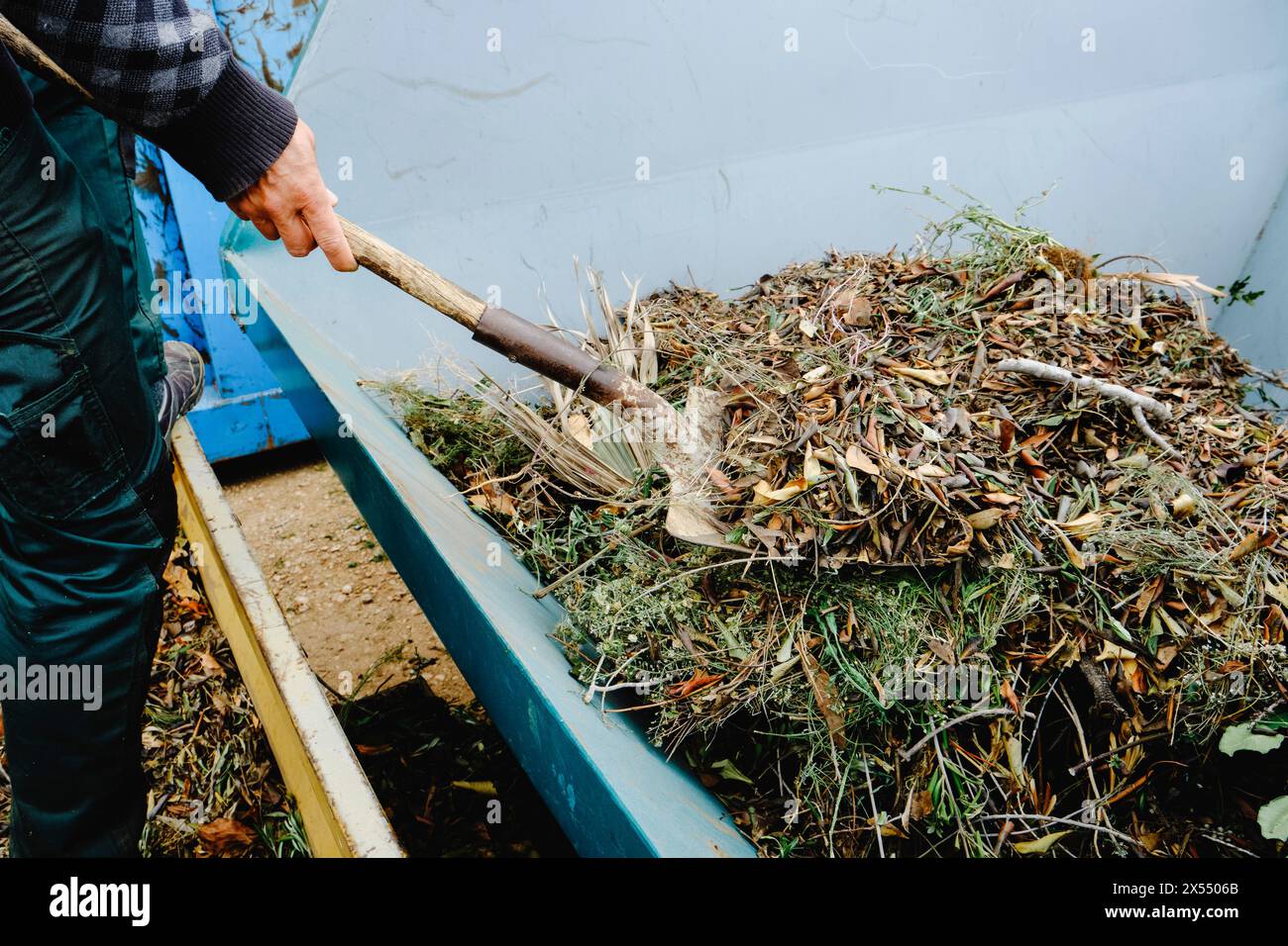 closeup of a man throwing plant remains with a shovel into a large ...