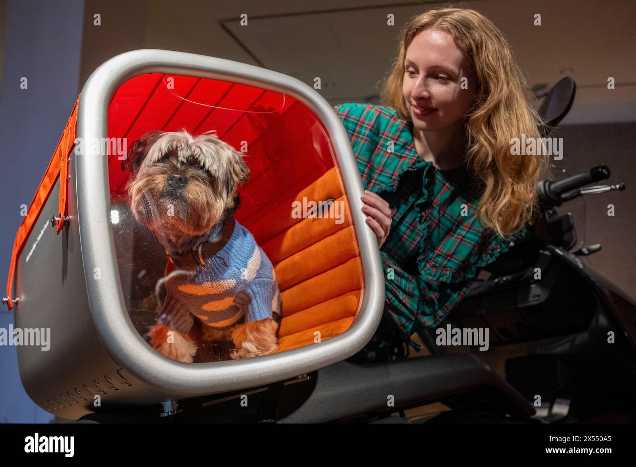 London, UK. 7 May 2024. Yorkshire terrier 'Tho' (Theodor) with 'Moon ...