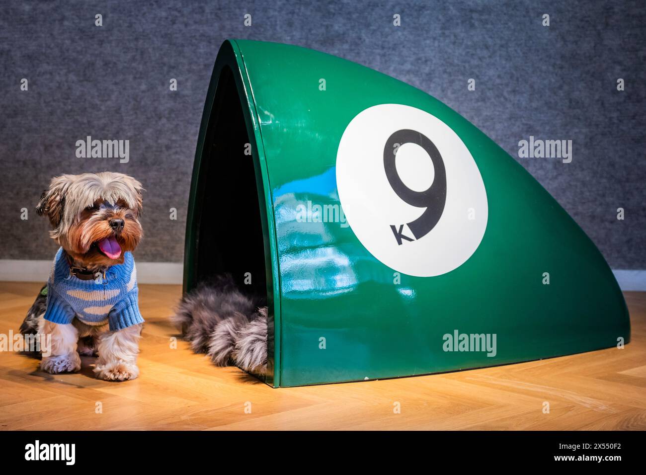 Duke mccloud hi-res stock photography and images - Alamy