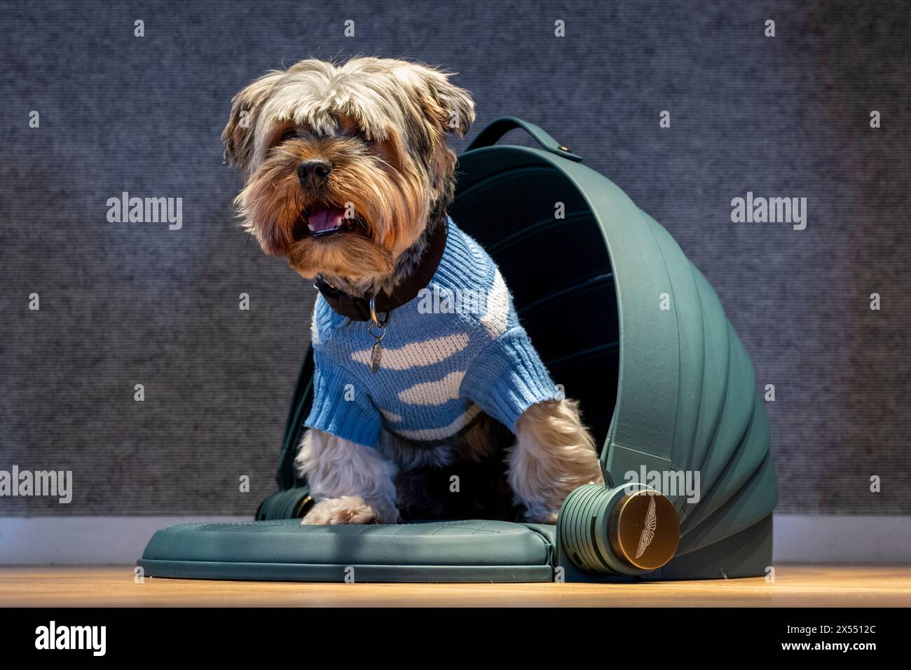 Dbk design hi-res stock photography and images - Alamy