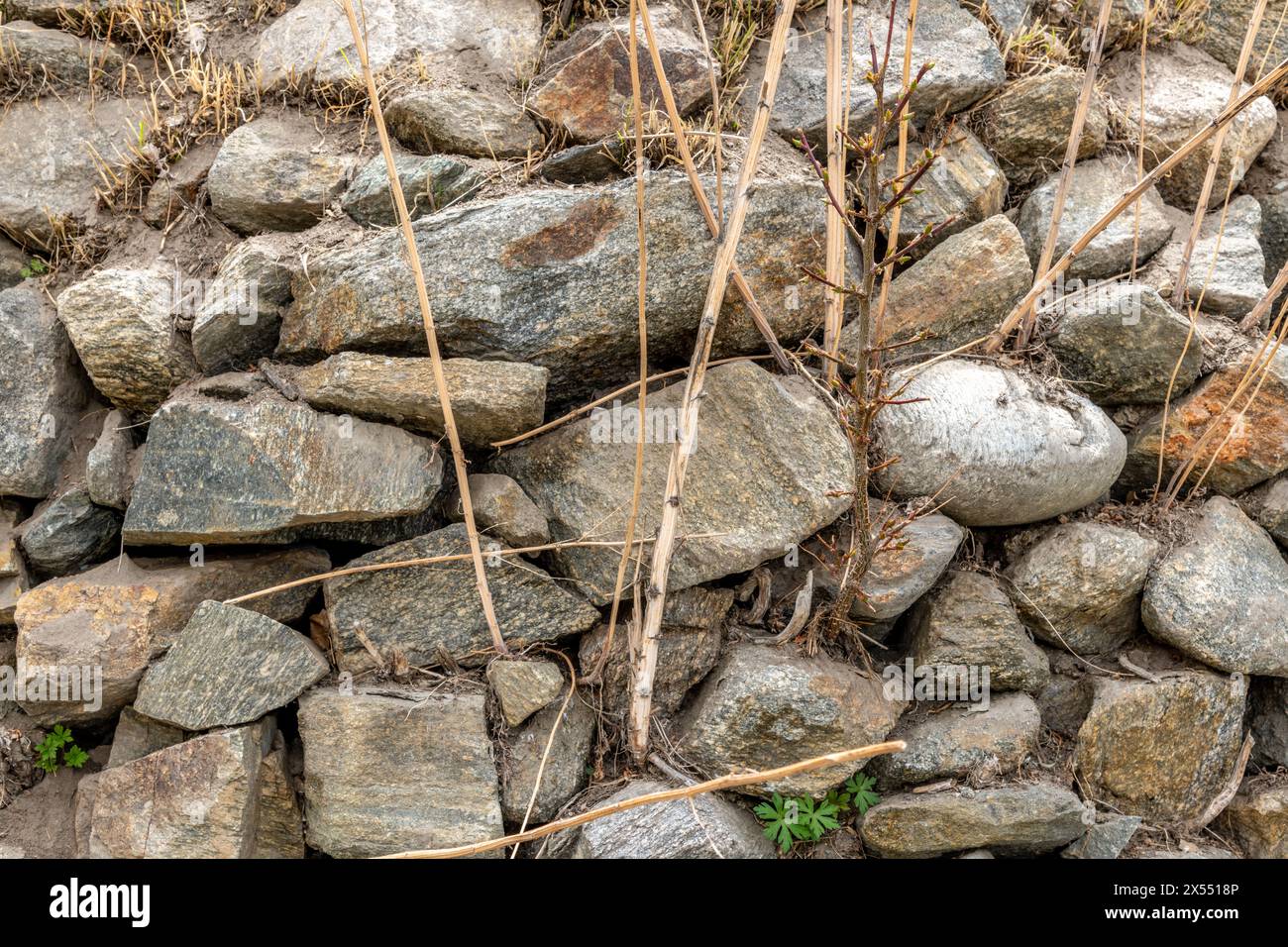 Different sizes and shapes of field stones in a rock wall in Turtok ...