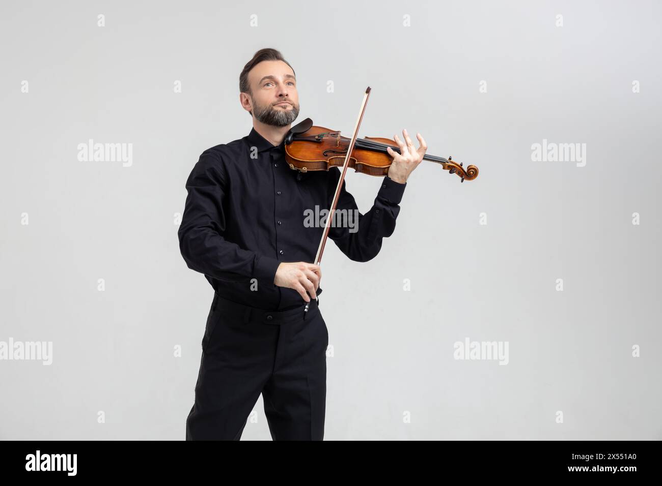 Elegant musician man violinist playing on concert Stock Photo - Alamy