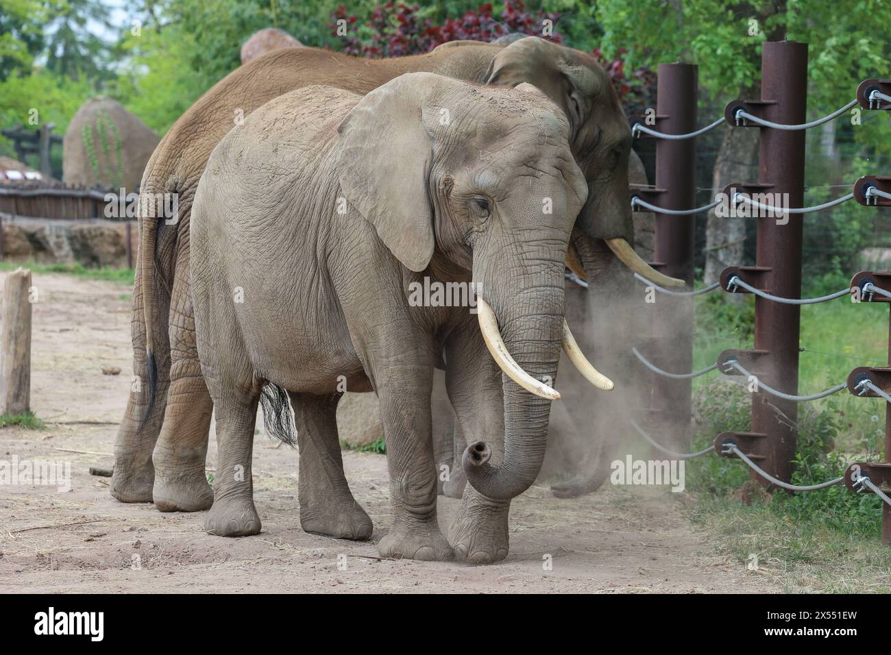 Zoo v hi-res stock photography and images - Alamy