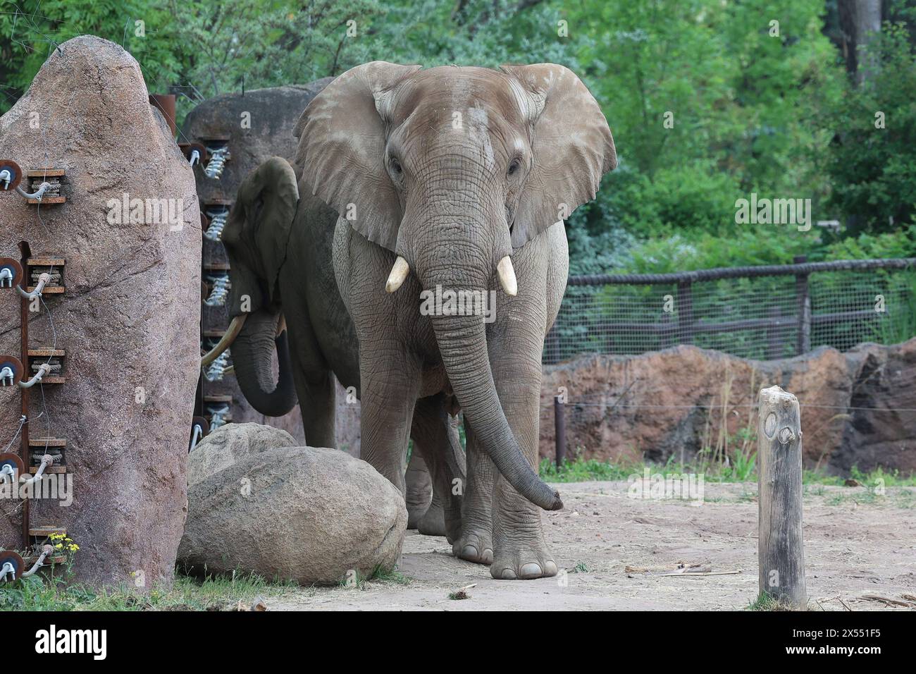 Zoo v hi-res stock photography and images - Alamy