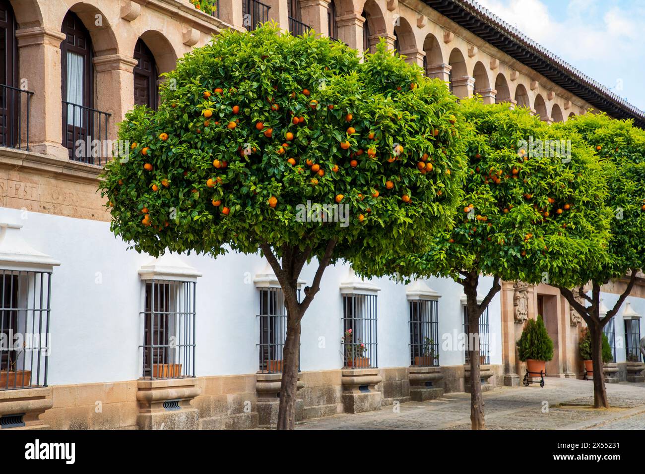 Ronda, Spain - 27th April, 2024: Orange trees and traditional old ...