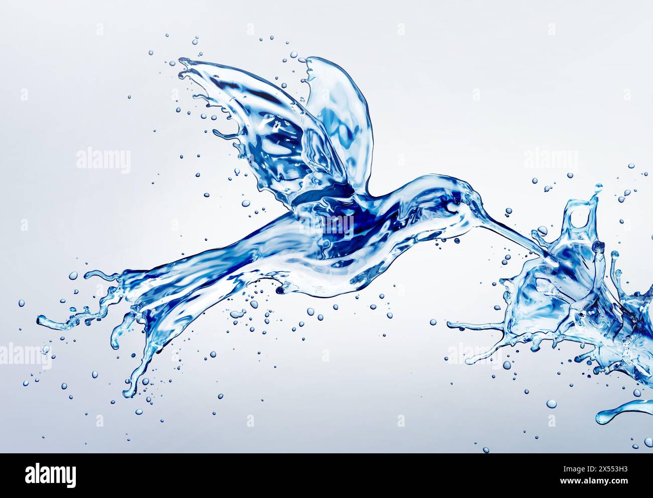 Hummingbird made od water drinking from a flower. Full 3d artwork Stock ...