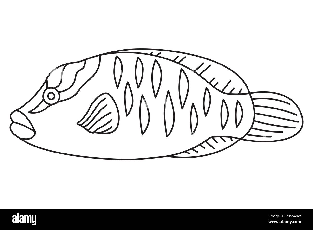 Tropical Fish. Simple Hand Drawn. Isolated on white background. line ...