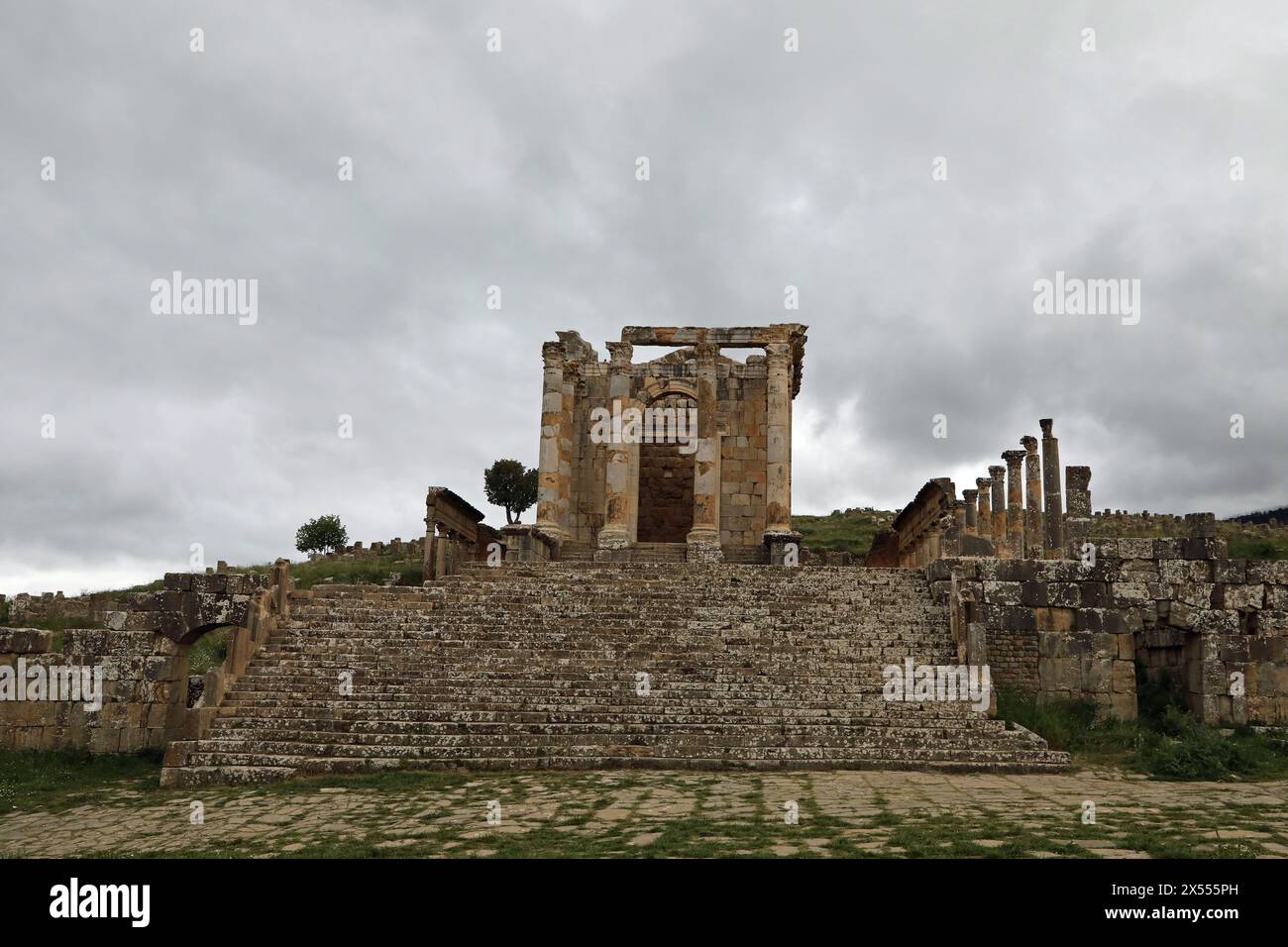 Gens septimia hi-res stock photography and images - Alamy