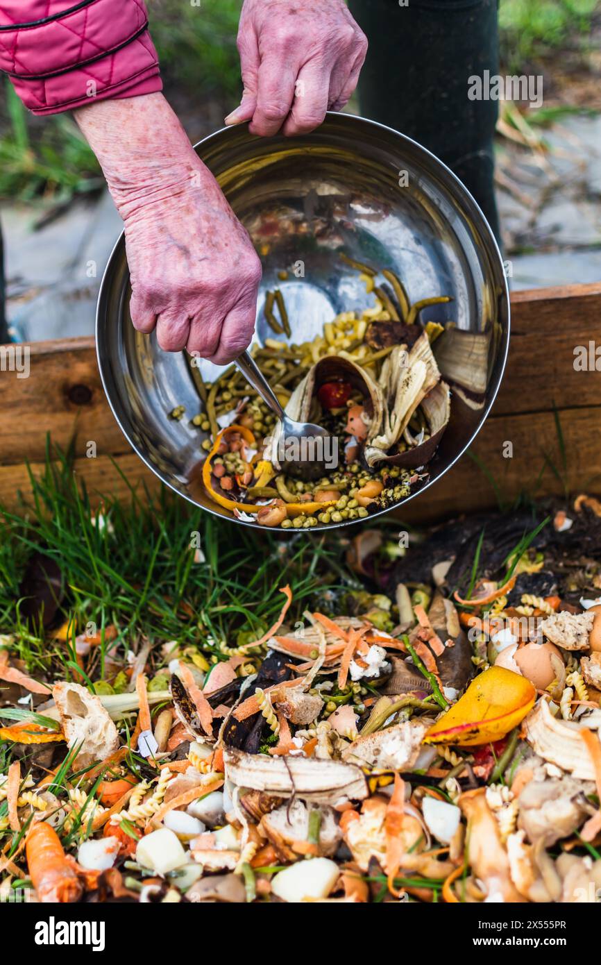 Person who put in a composter some kitchen waste like vegetables ...