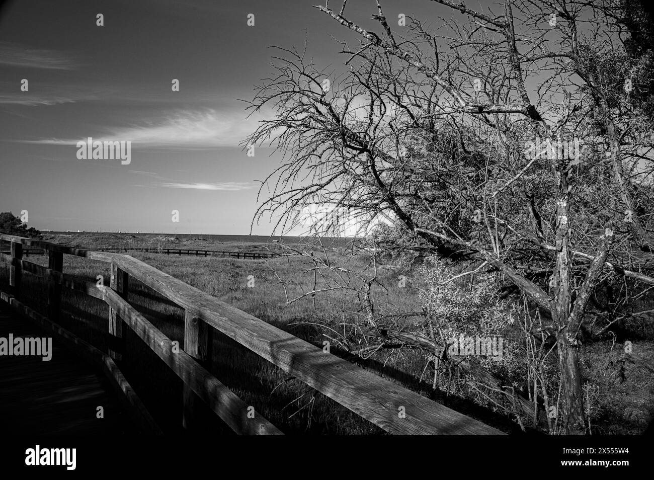 The new wood pathway of Punta Marina Terme reminds me Balearic Islands ...