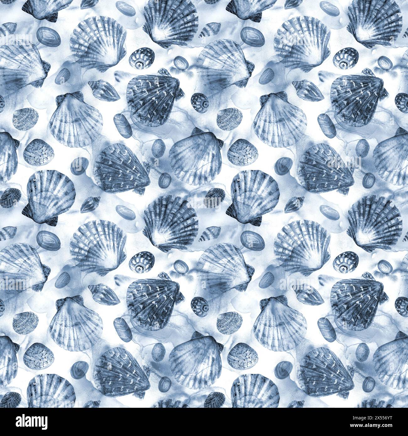 Beach shells seamless pattern hi-res stock photography and images - Alamy