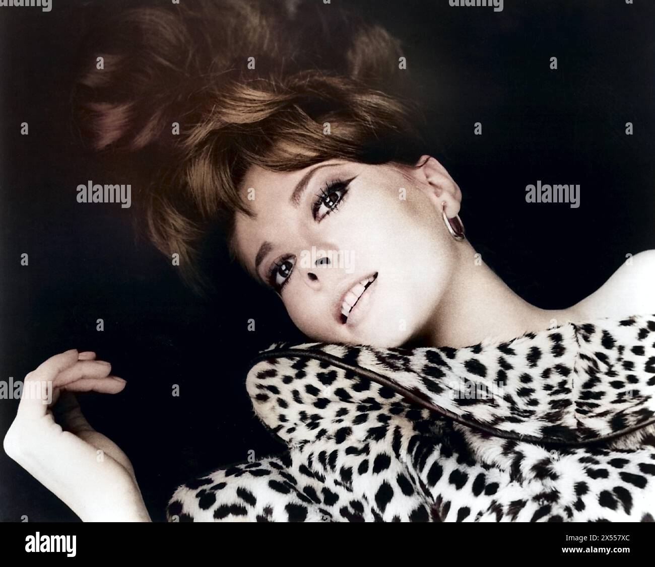 1960s pattern hi-res stock photography and images - Alamy