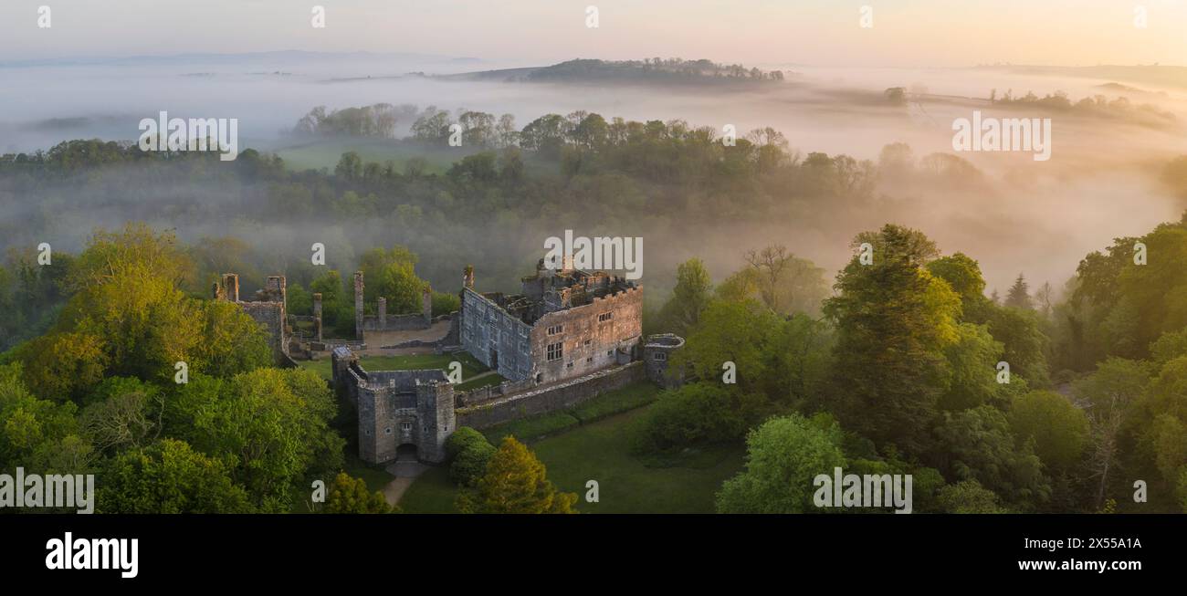 The ruins of Berry Pomeroy Castle emerging from swirling mist, South ...