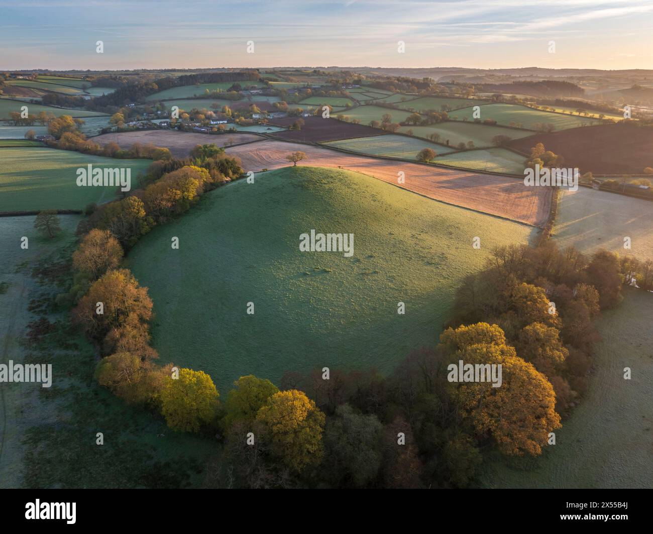 Hilltop tree and rolling countryside at dawn, Devon, England. Spring ...